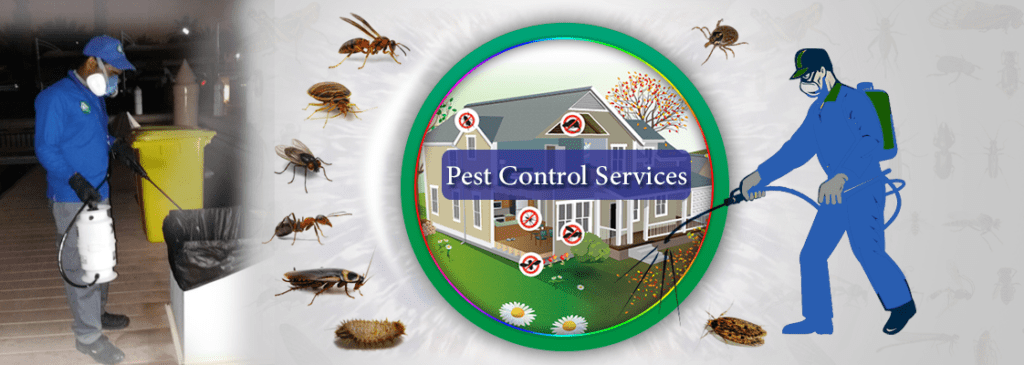 Why are Pest Control Services Important and What is its Need?