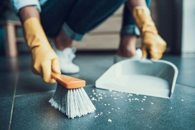 Get Expert Tips To Keep Your Place Pest-Free - Alwaha Hygiene