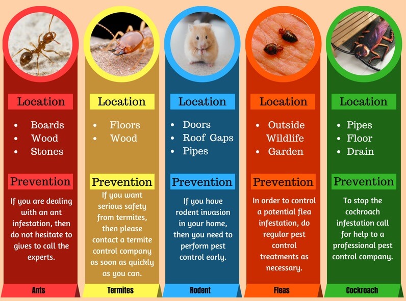 How you can say goodbye to Pesky Pests from your home or offices. - Al ...
