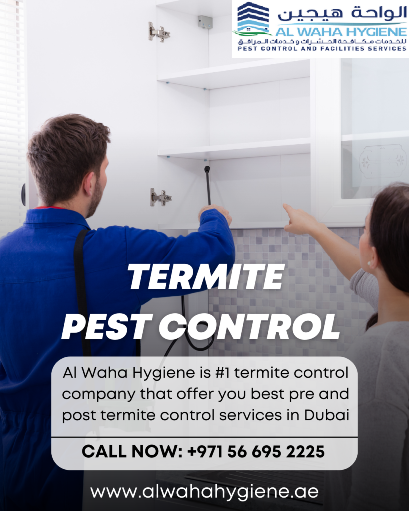 Termite Infestation? Don't Worry, We've Got You Covered! - Al Waha Hygiene