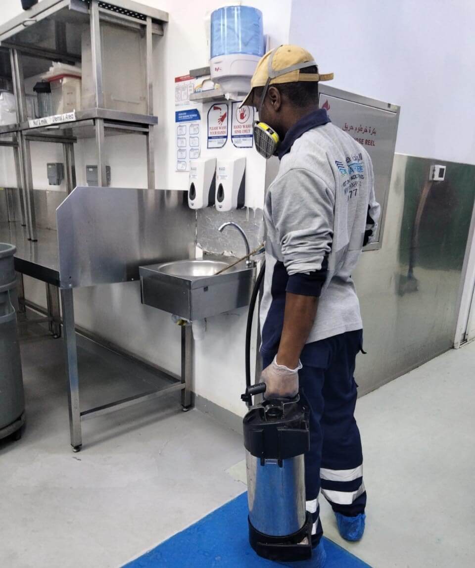 The Ultimate Guide to Pest Control Services in Dubai