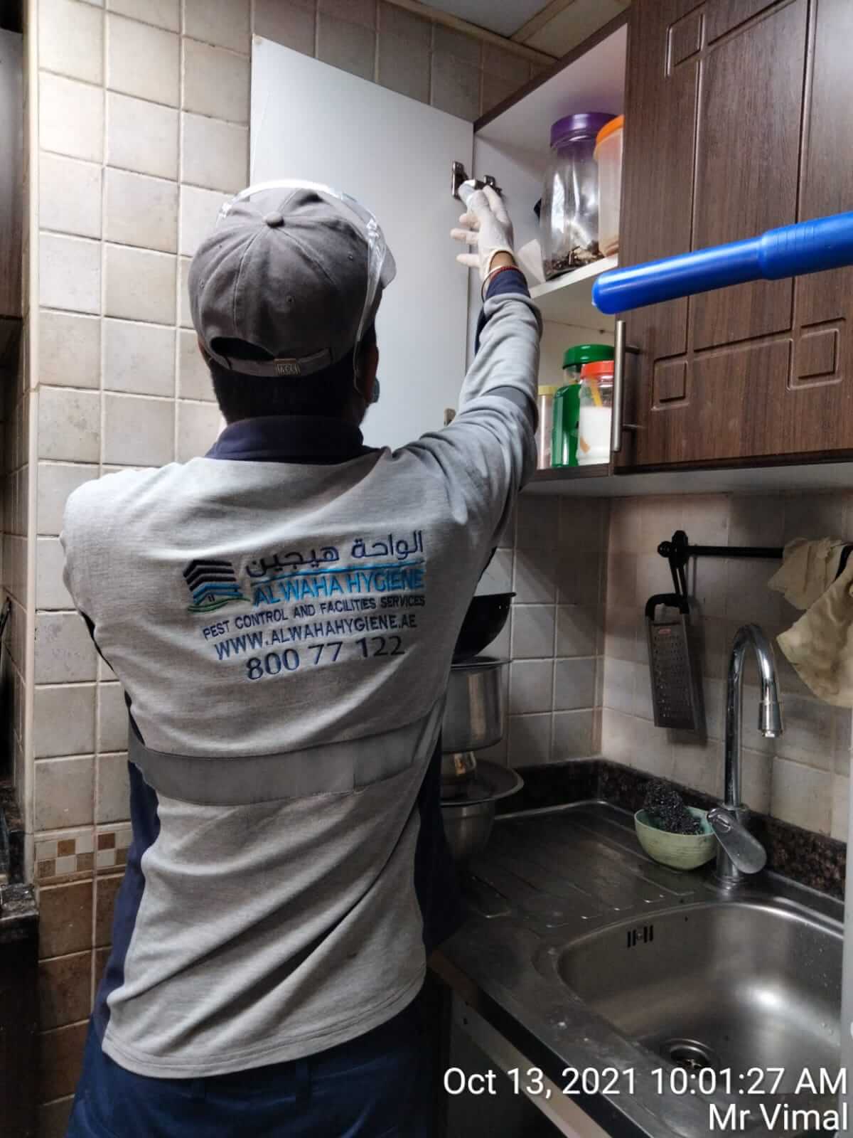 Pest Control Services Company Jubail Island | Al Waha Hygiene
