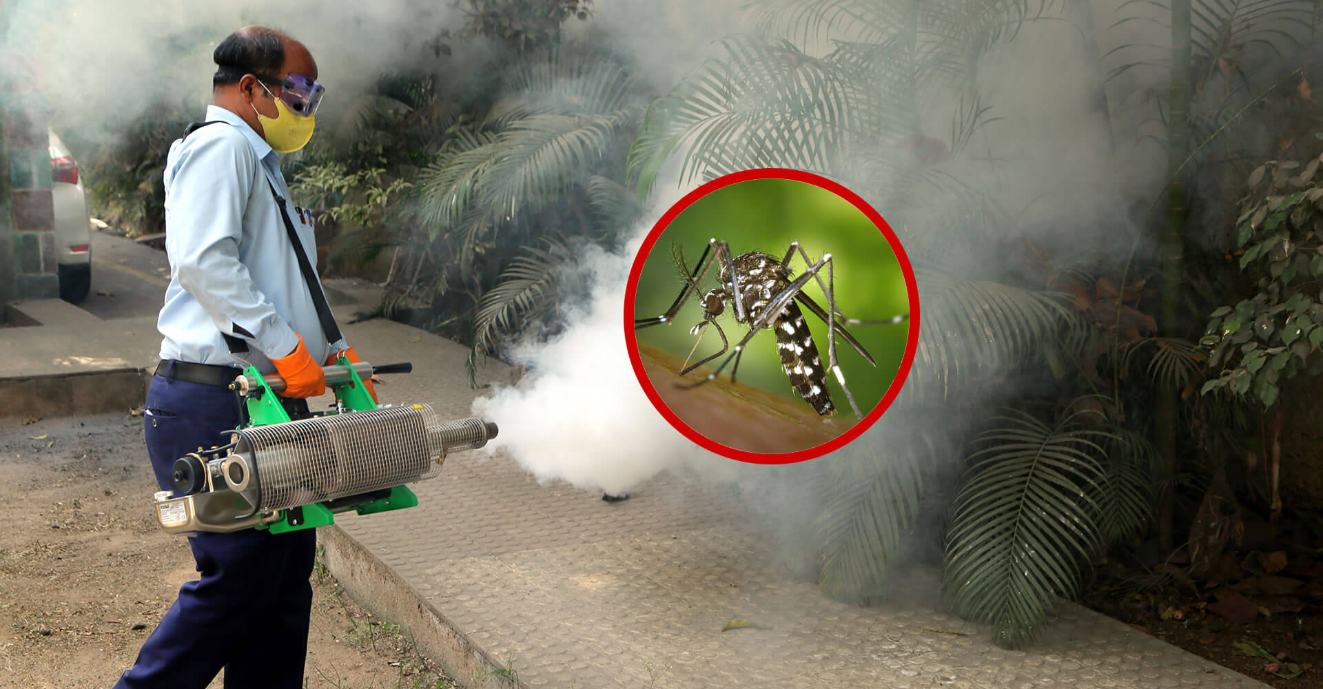 5 Best Mosquito Control Practices in Dubai